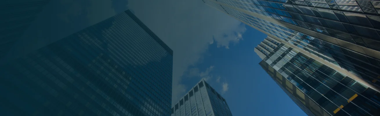 RelyOn Appoints Anton Sibast Laugesen as Chief Financial Officer